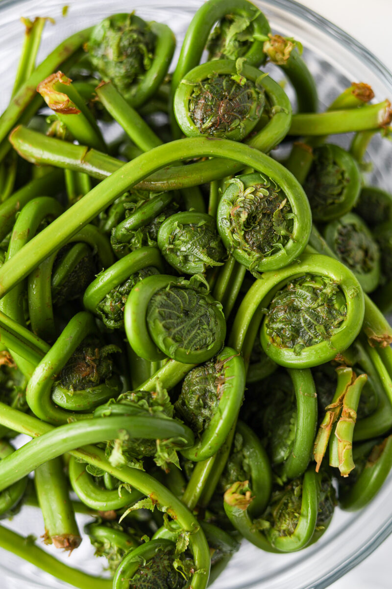 How to Cook Fiddleheads - Maritime Country Kitchen