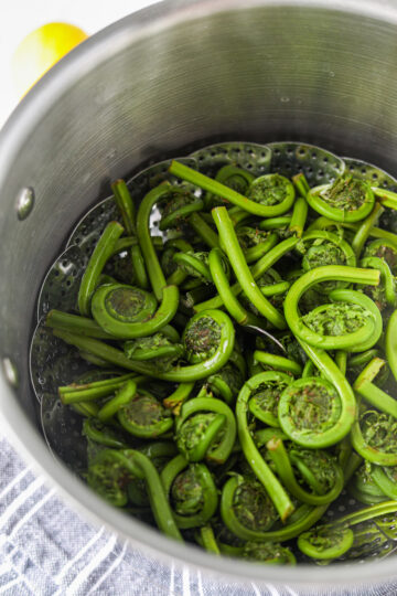 How to Cook Fiddleheads - Maritime Country Kitchen