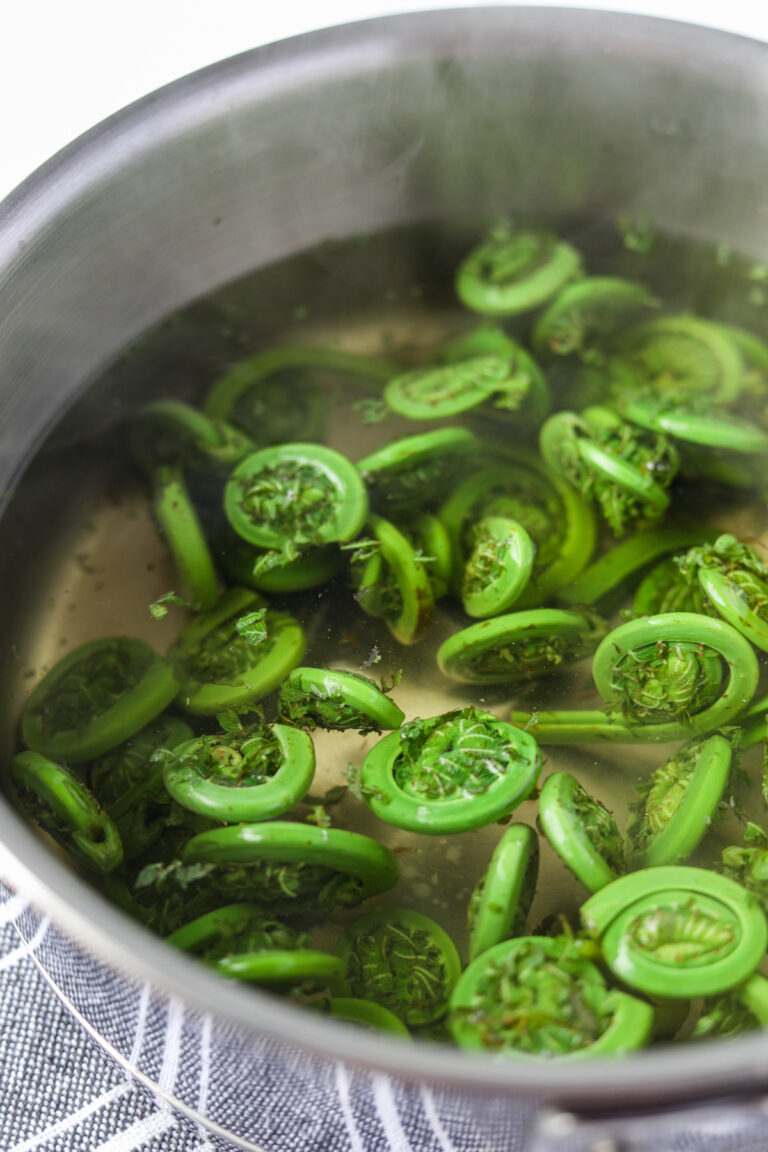 How to Freeze Fiddleheads - Maritime Country Kitchen